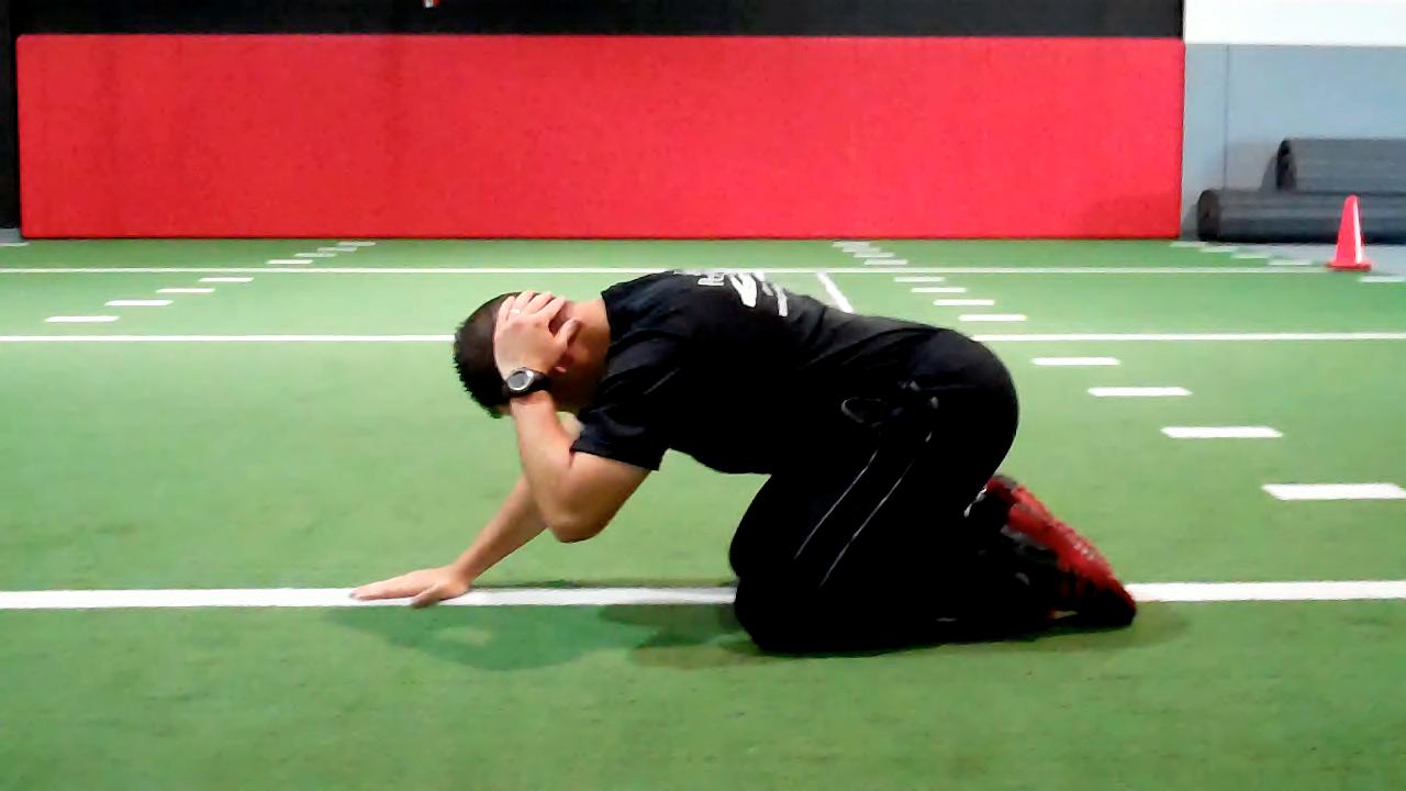 Quadruped T-Spine Self Mobilization - PFP media