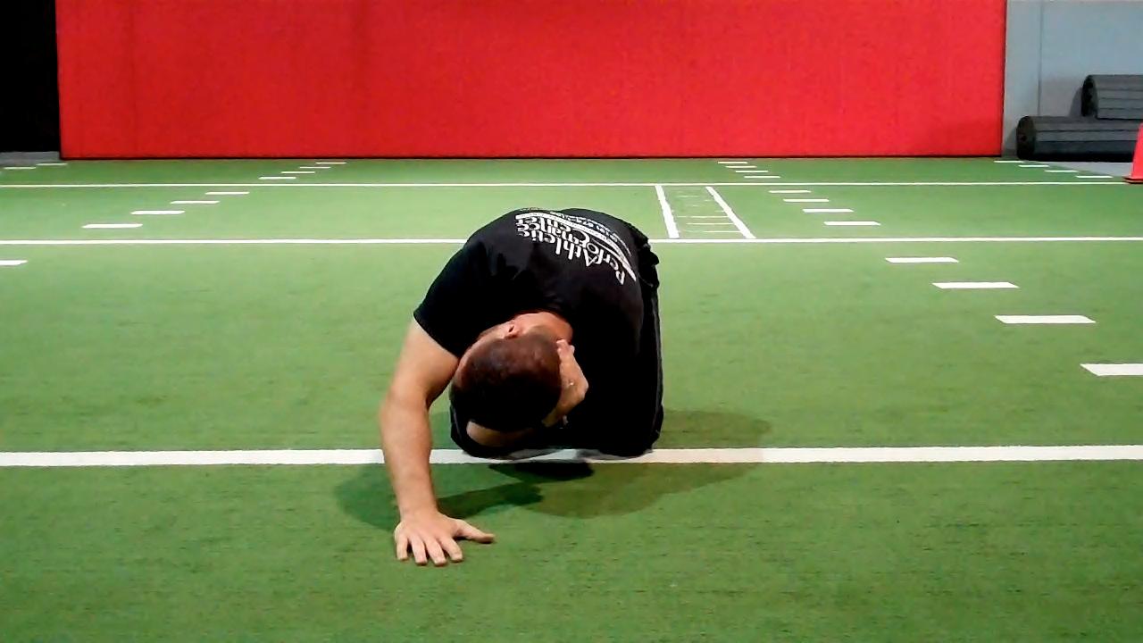 Quadruped T-Spine Self Mobilization - PFP media